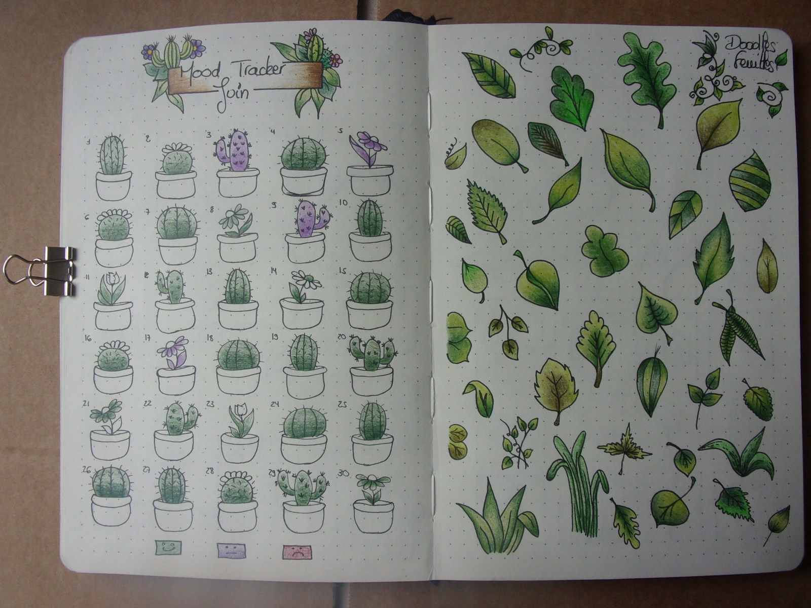 Bullet Journal Mood Tracker Juin 2020 Cactus Plante - Une histoire de ...