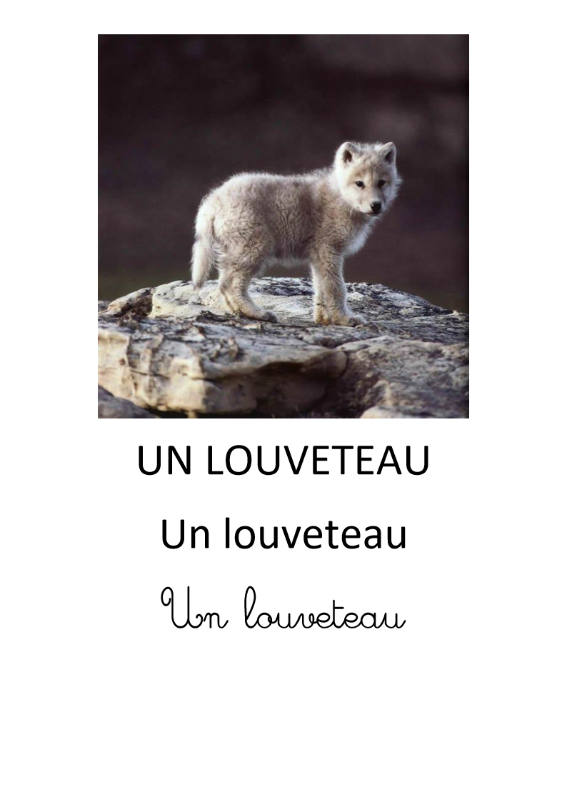 imagier autour du thème du loup - Materestelle