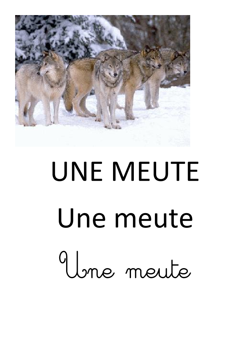 imagier autour du thème du loup - Materestelle