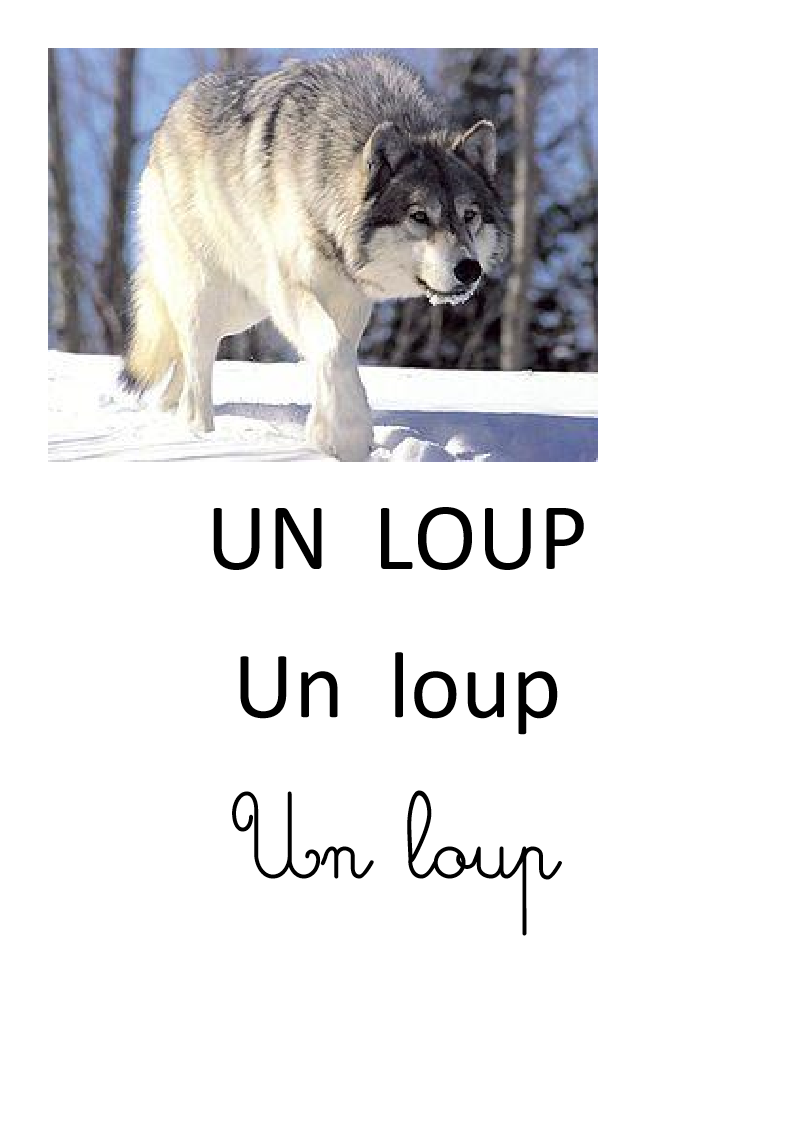 imagier autour du thème du loup - Materestelle