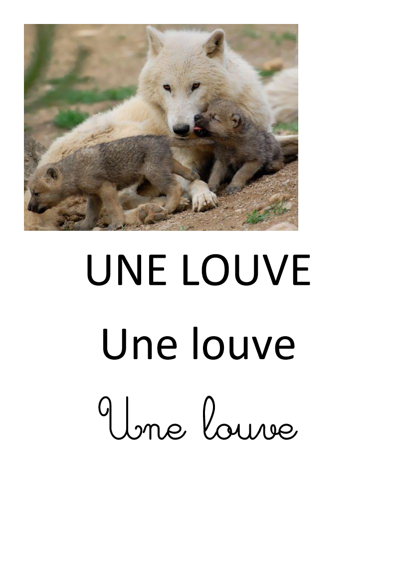 imagier autour du thème du loup - Materestelle