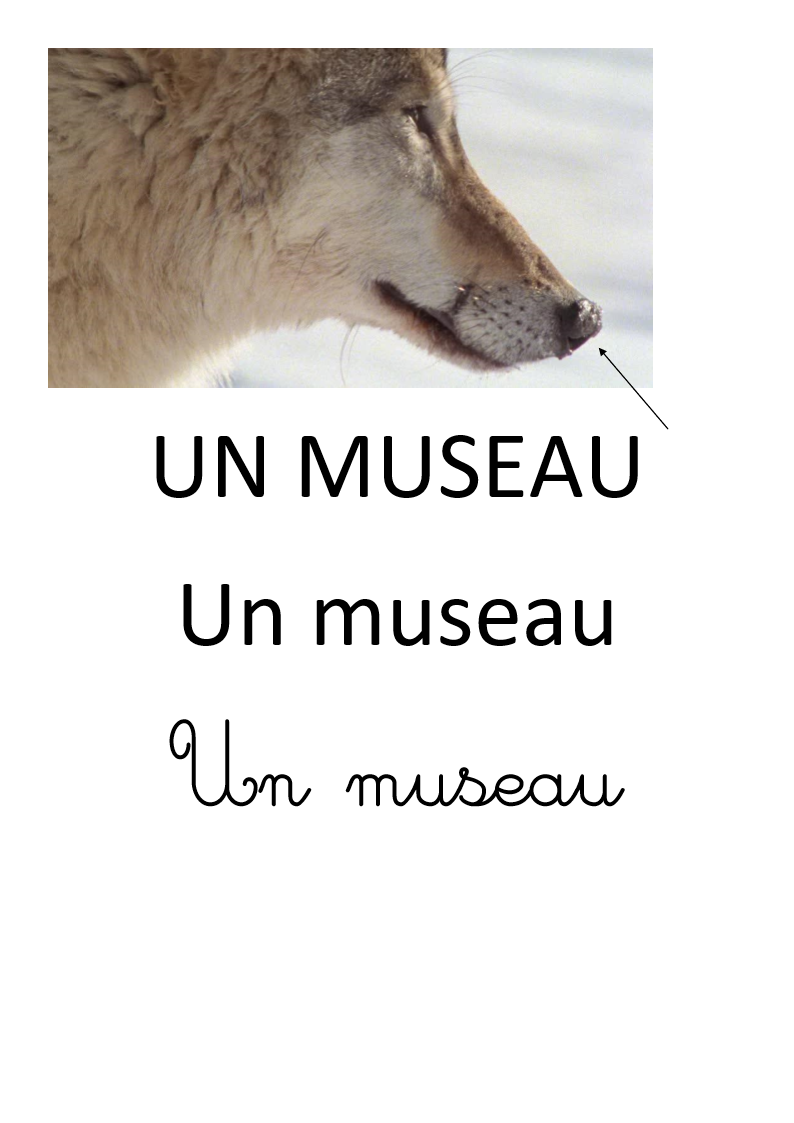 imagier autour du thème du loup - Materestelle