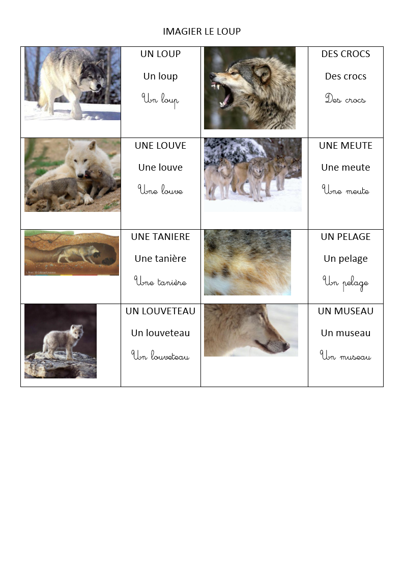 imagier autour du thème du loup - Materestelle