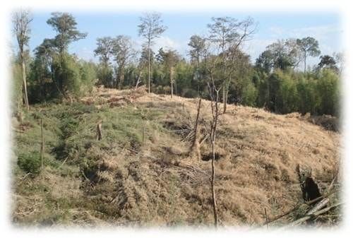 Mro people (History) - Mro(mru) People