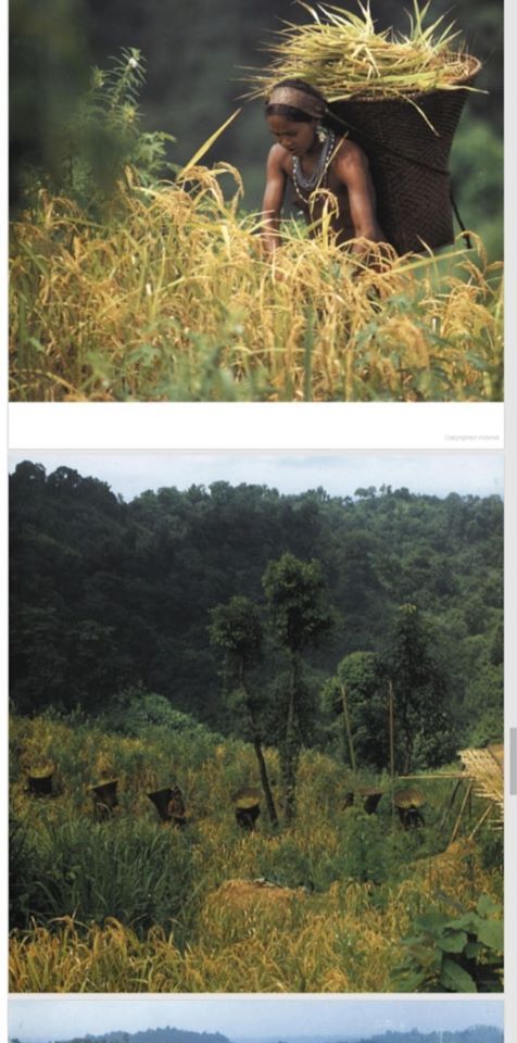 Mro people (History) - Mro(mru) People