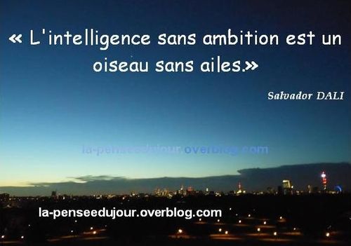 [51] Proverbe Intelligence
